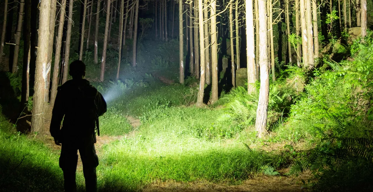 Baton 4 Powerful EDC Torch 1300 Lumens (Standard/Premium Edition ...